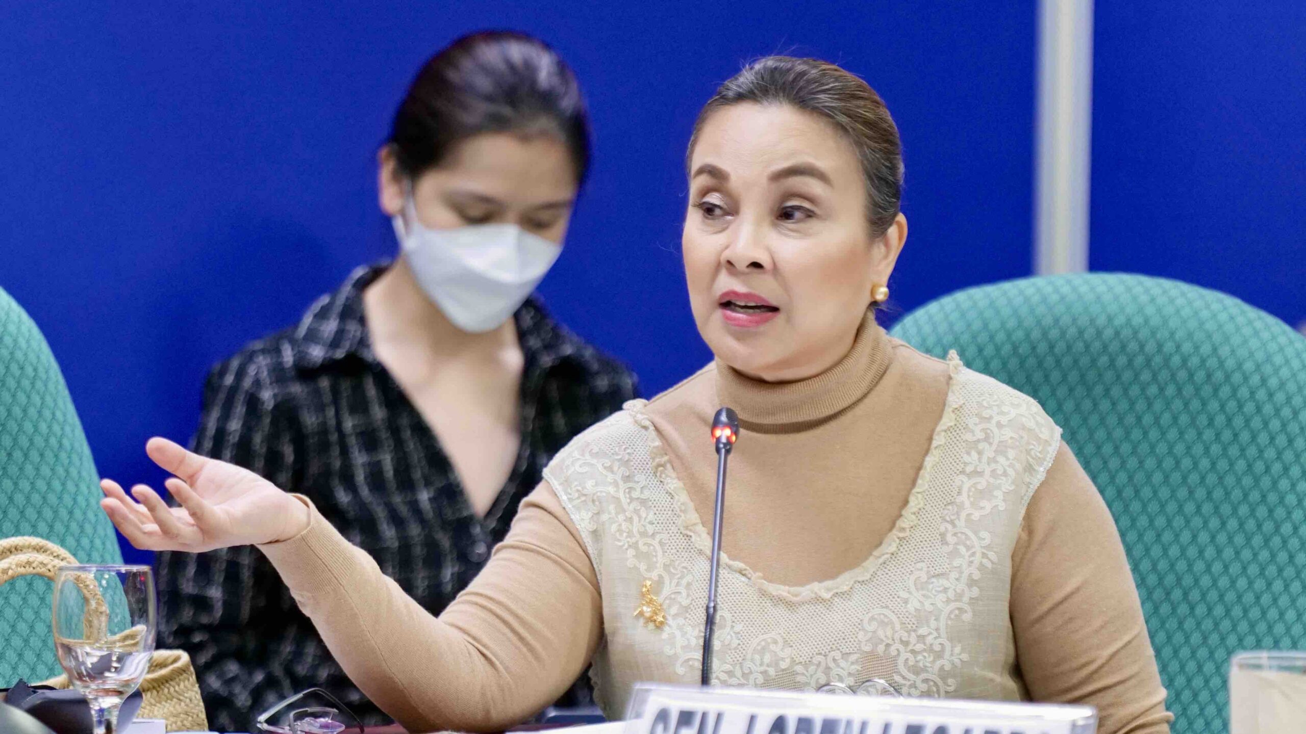 Senator Loren Legarda’s Statement on the 2024 World Risk Report - Loren ...