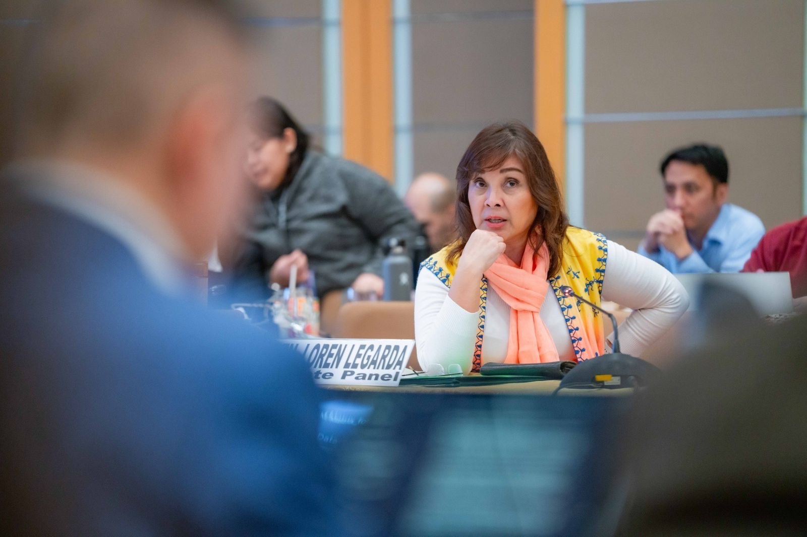 Legarda: Responsible and Integrity-driven budgeting means better lives ...