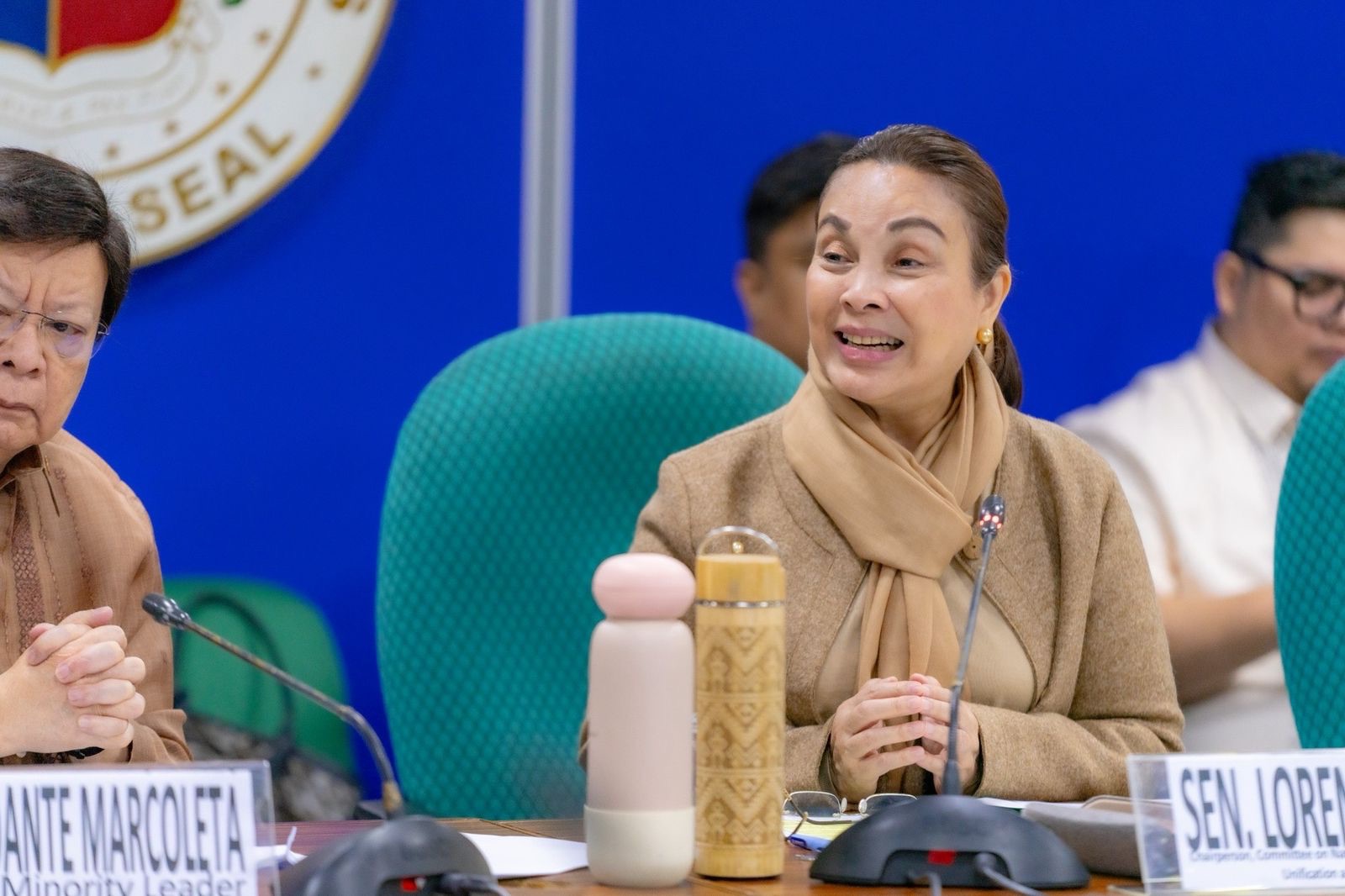 Legarda pushes urgent defense reforms: DND transformation, AFP ...